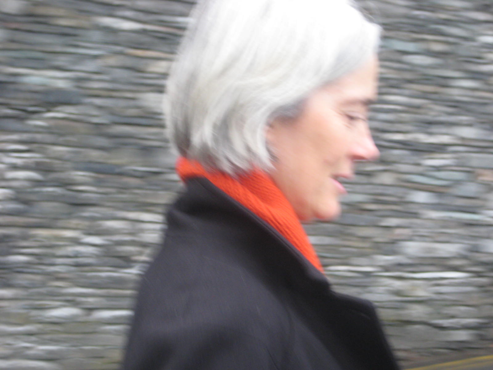 Sarah Day, Australian poet | New collection Towards Light. Other works ...
